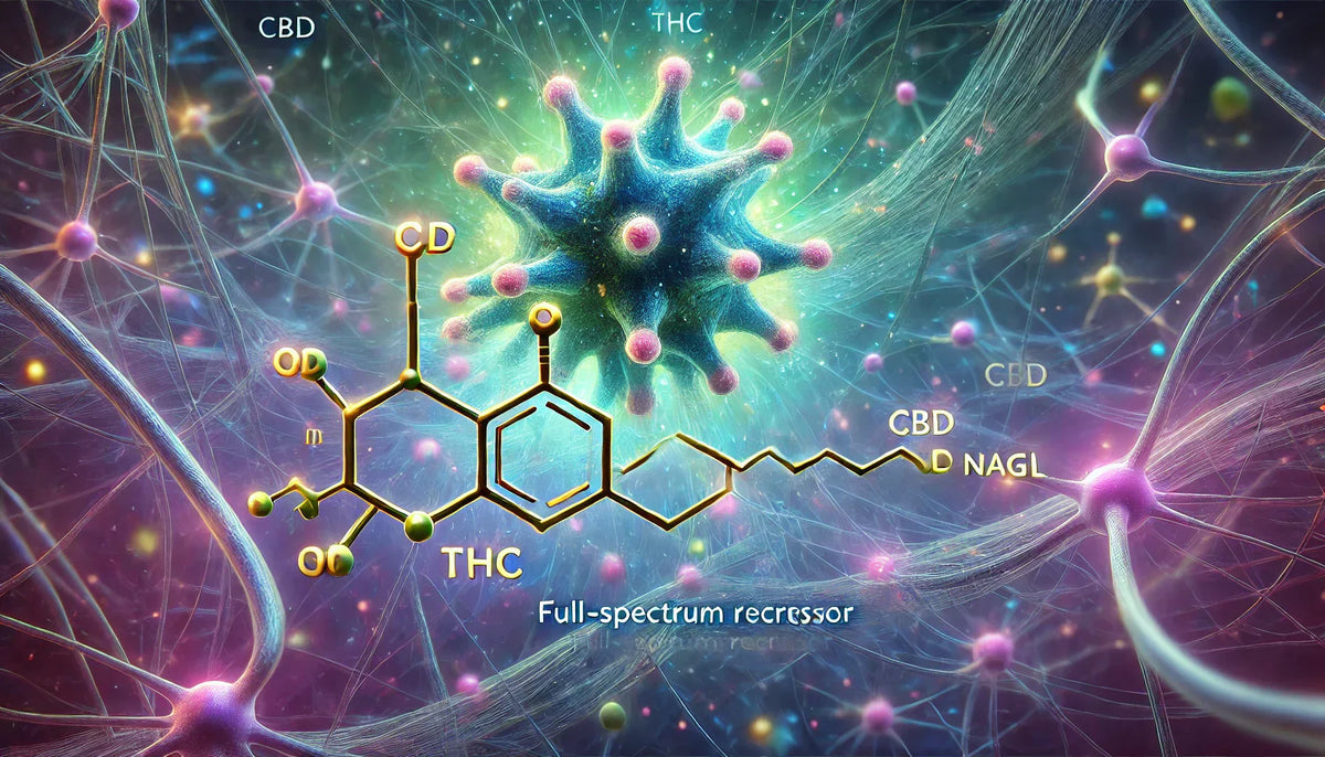 GPR18 Receptor & Full-Spectrum CBD: Therapeutic Potential – Bunyip Hemp